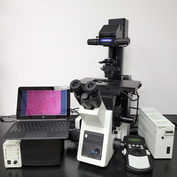 Olympus Microscope IX73 Phase Contrast Fluorescence Microscope ...