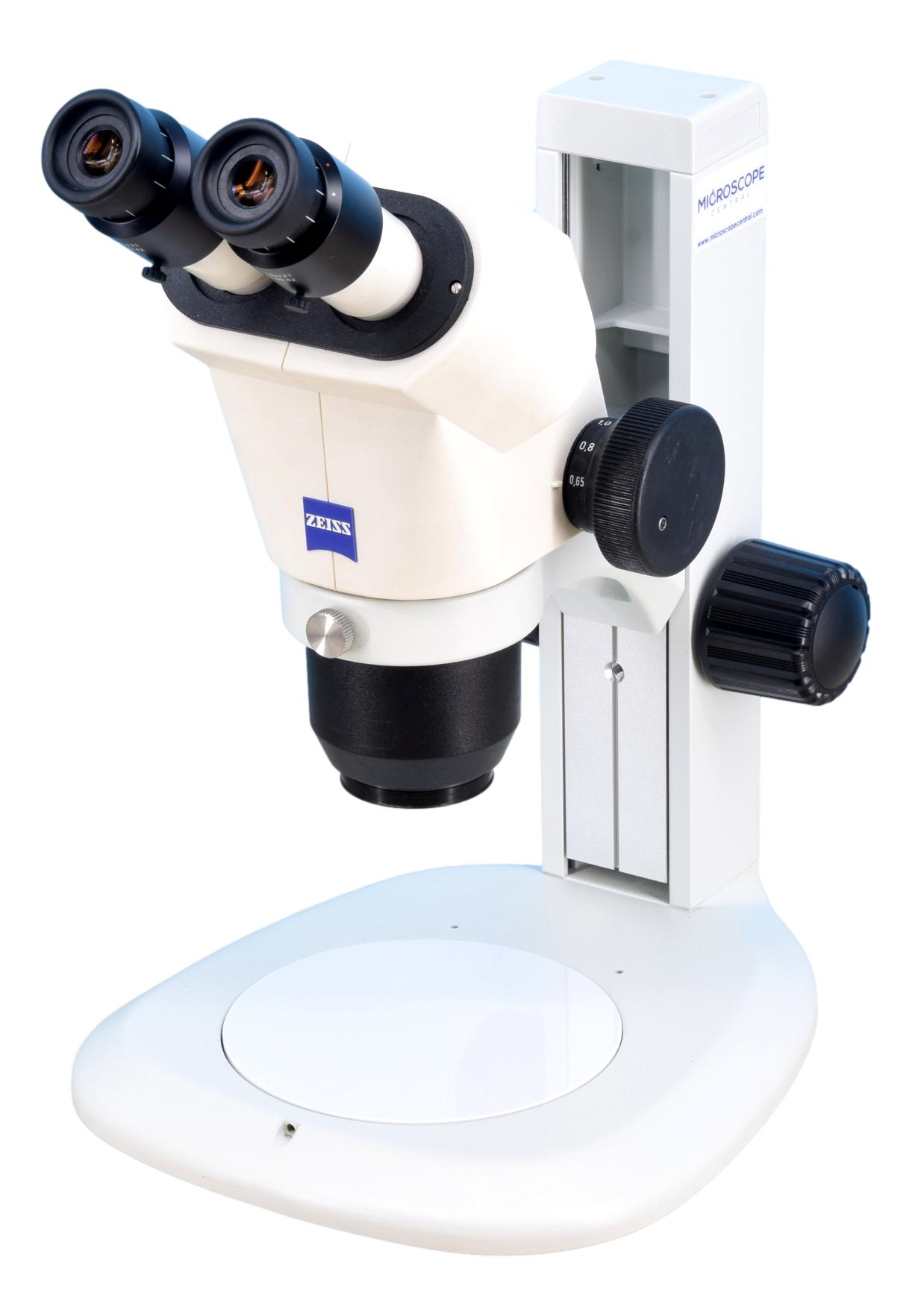 Zeiss Stemi 2000 Stereo Microscope 6.5x - 50x | Microscope Central