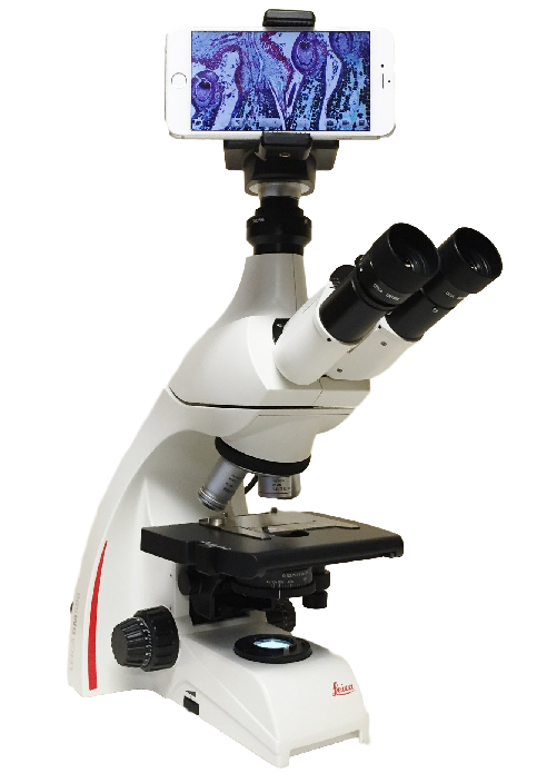 Biological Digital Microscopes | Microscope With Camera – Microscope ...