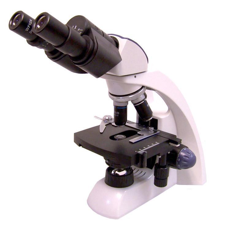 2002 Binocular Microscope – Microscope Central
