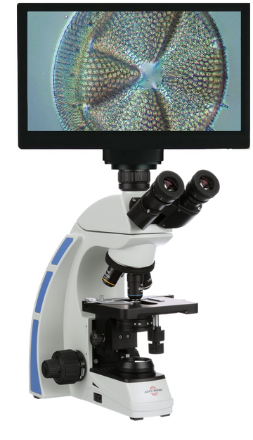 Phase Contrast Microscopes | Compound Microscope for Sale – Microscope ...