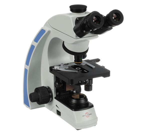 Accu-Scope 3000 LED Phase Contrast Microscope – Microscope Central
