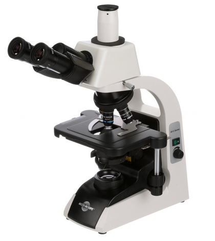 Compound Light Microscope Unlabeled
