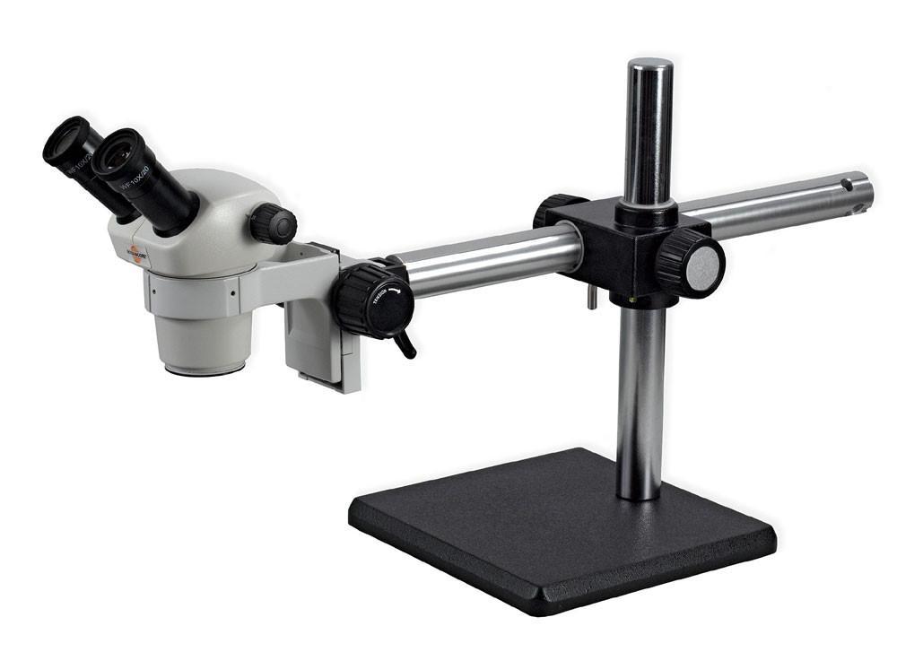 Dissecting Microscopes | Microscope Central