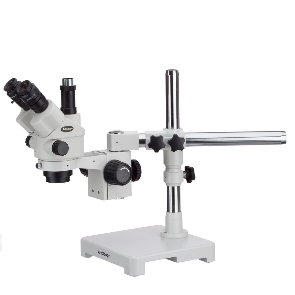 Dissecting Microscopes | Microscope Central