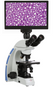 Accu-Scope 3000-LED 4K Digital Microscope | WiFi, USB, HDMI Output ...