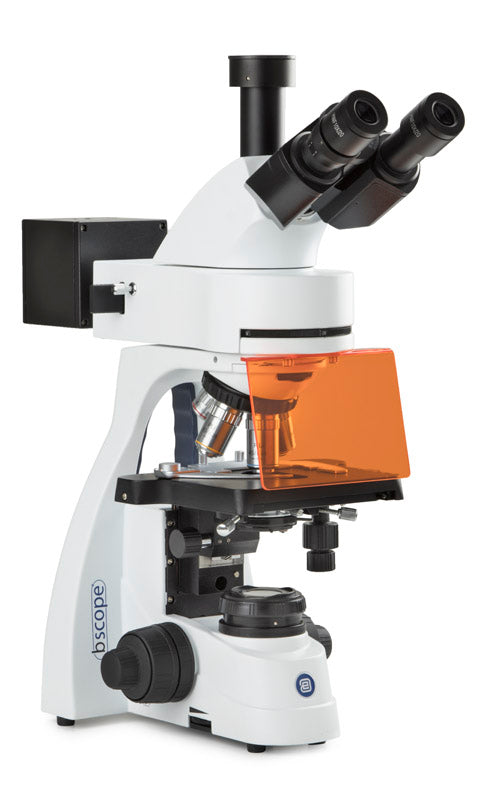 Euromex bScope LED Fluorescence Microscope – Microscope Central