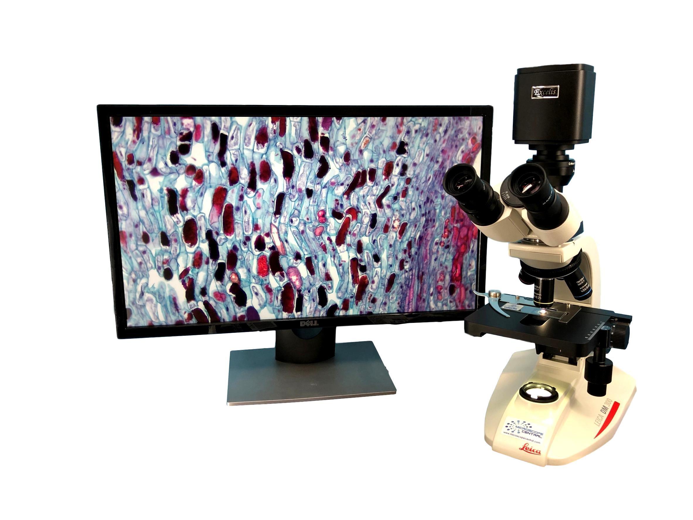 Leica DM300 HD Digital Microscope System | High Definition Microscope ...