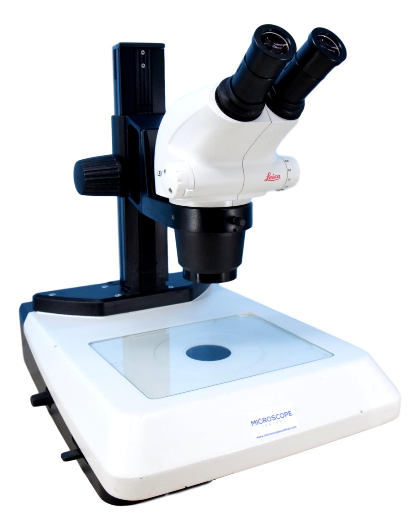 Leica S6 E on TL3000 ST Transmitted Light Contrast Base – Microscope ...
