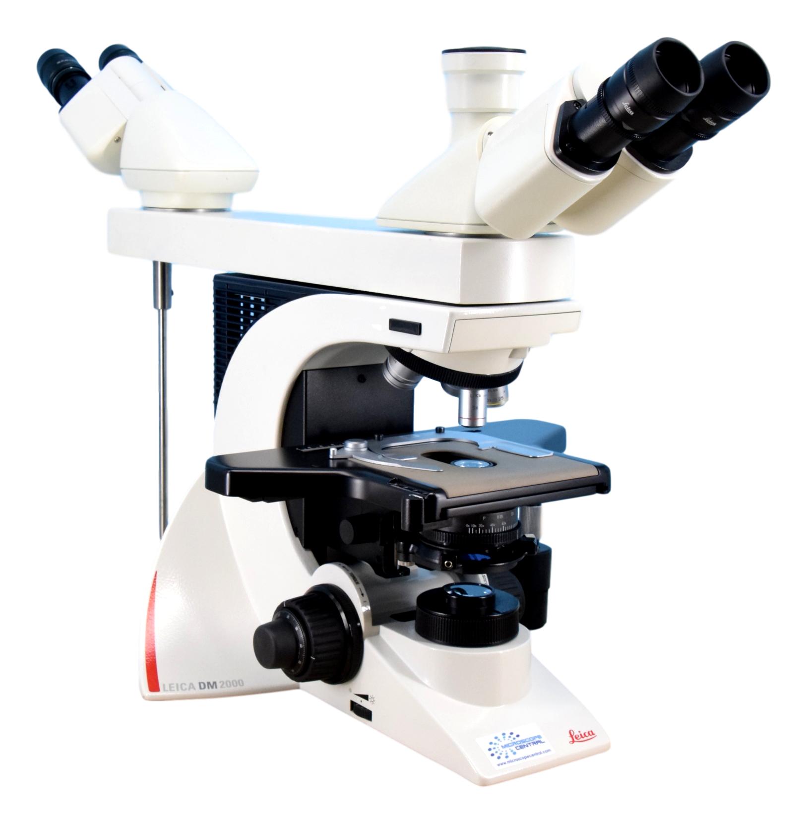 Leica DM2000 Microscope | Dual-Viewing Microscope – Microscope Central