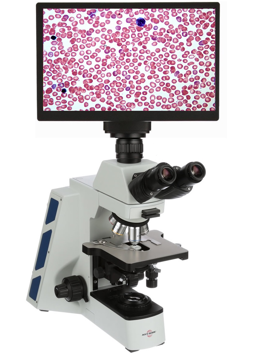 Accu-Scope EXC-400 Digital Hematology Microscope – Microscope Central