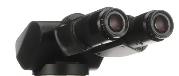 Viewing Head For Accu-Scope EXC-400 Microscope – Microscope Central