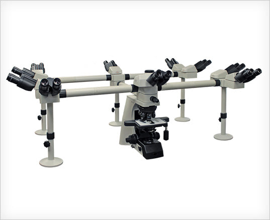 Accu-Scope EXC-500 10 Head Microscope – Microscope Central