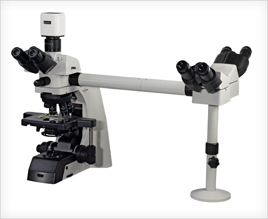 Multi-Head Microscopes – Microscope Central