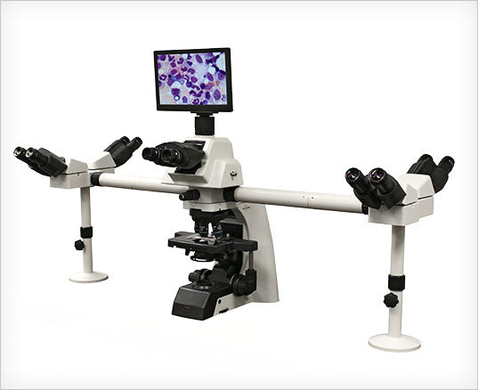 Accu-Scope EXC-500 5 Head Microscope – Microscope Central