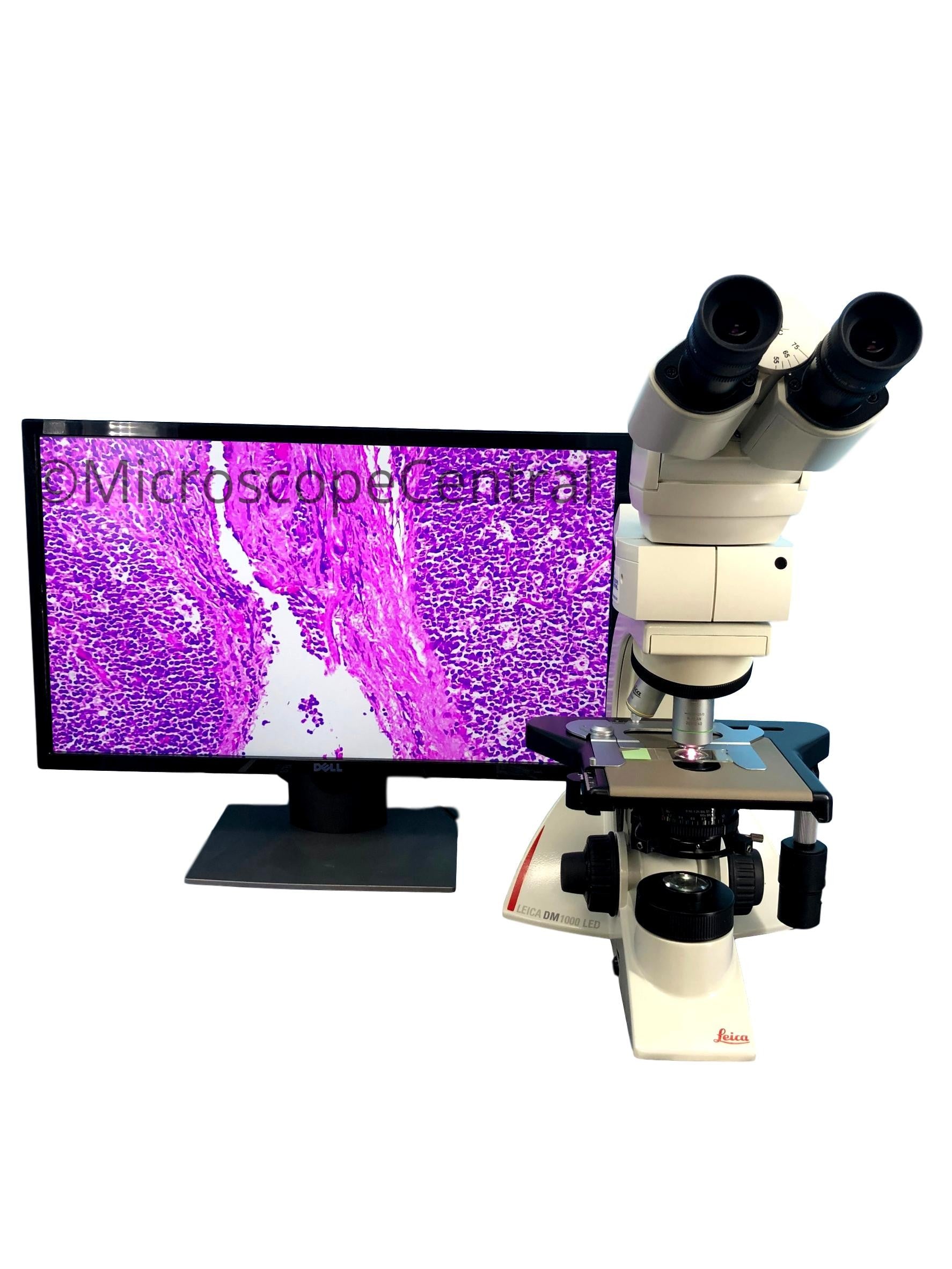 Leica DM1000 | With ICC50 W Camera | Digital Laboratory Microscope ...