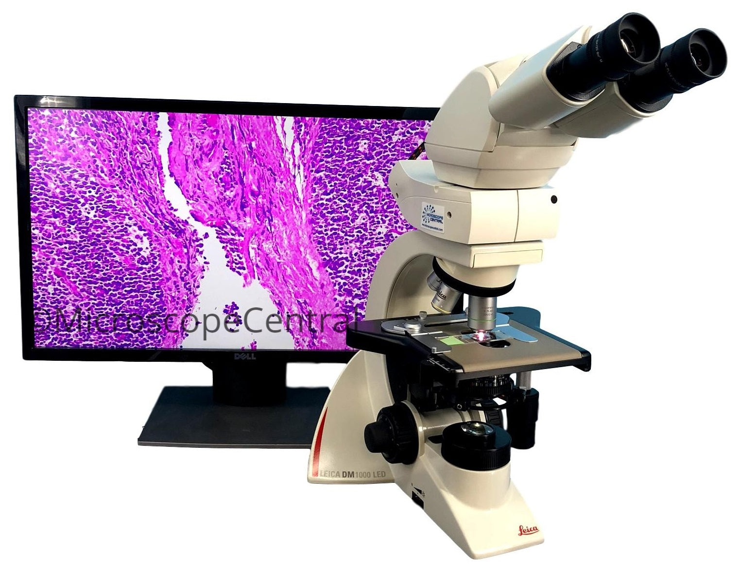 Biological Digital Microscopes | Microscope With Camera – Microscope ...