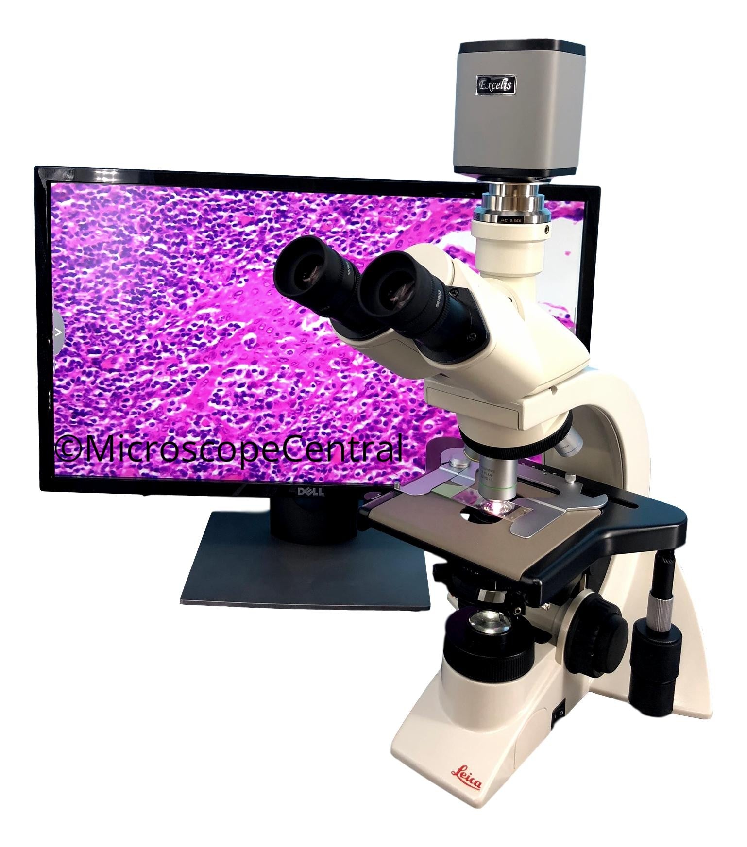 Leica DM1000 | HD Digital Microscope Package| Microscope Central