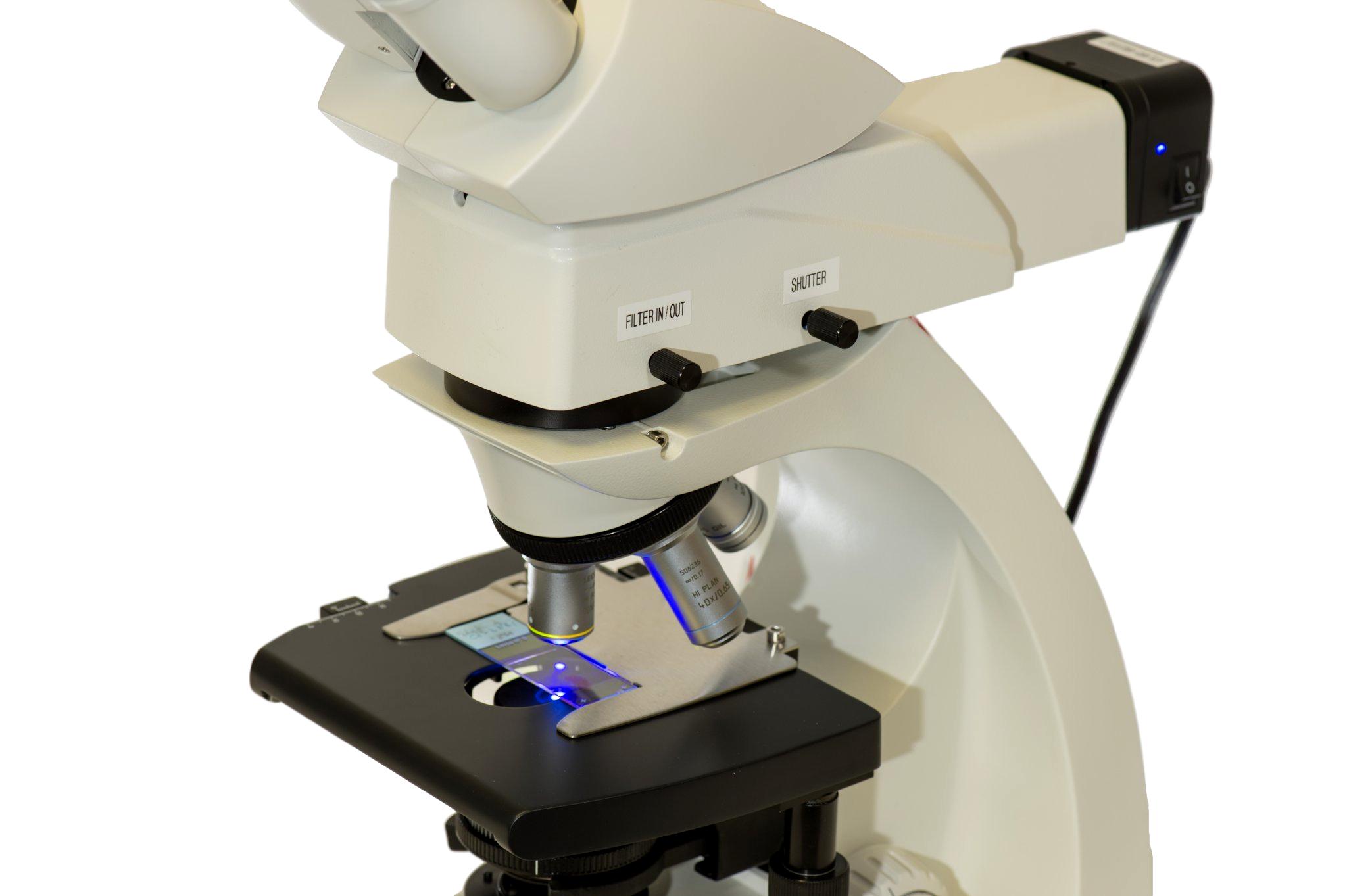 Leica DM750 | Leica Fluorescence Microscope | Microscope Central