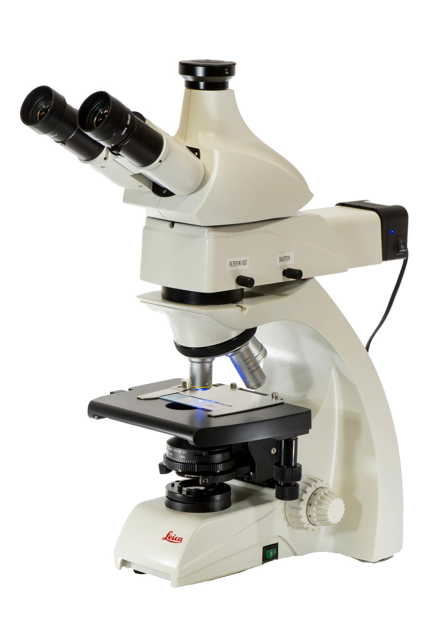 Leica DM750 | Leica Fluorescence Microscope | Microscope Central