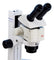 Leica M80 Stereo Zoom Microscope 7.5x - 60x | Refurbished Leica Microscope – Microscope Central