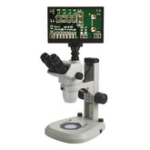 Dissecting Microscopes | Microscope Central