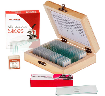 Microscope Slides for Sale | Microscope Immersion Oil – Microscope Central