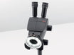 Leica A60 F Stereo Microscope Flex Arm | Microscope Central