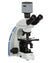 Accu-Scope 3000 LED Digital Phase Contrast Microscope – Microscope Central