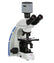 Accu-Scope 3000 Digital Microscope| Microscope Central