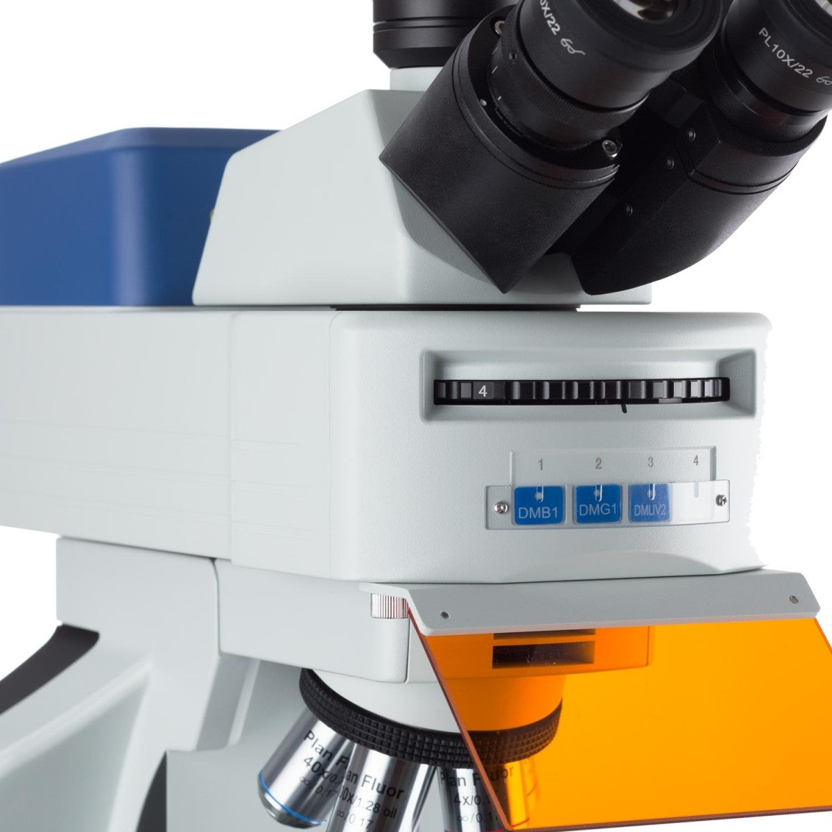 AmScope Fluorescence Microscope | Microscope Central