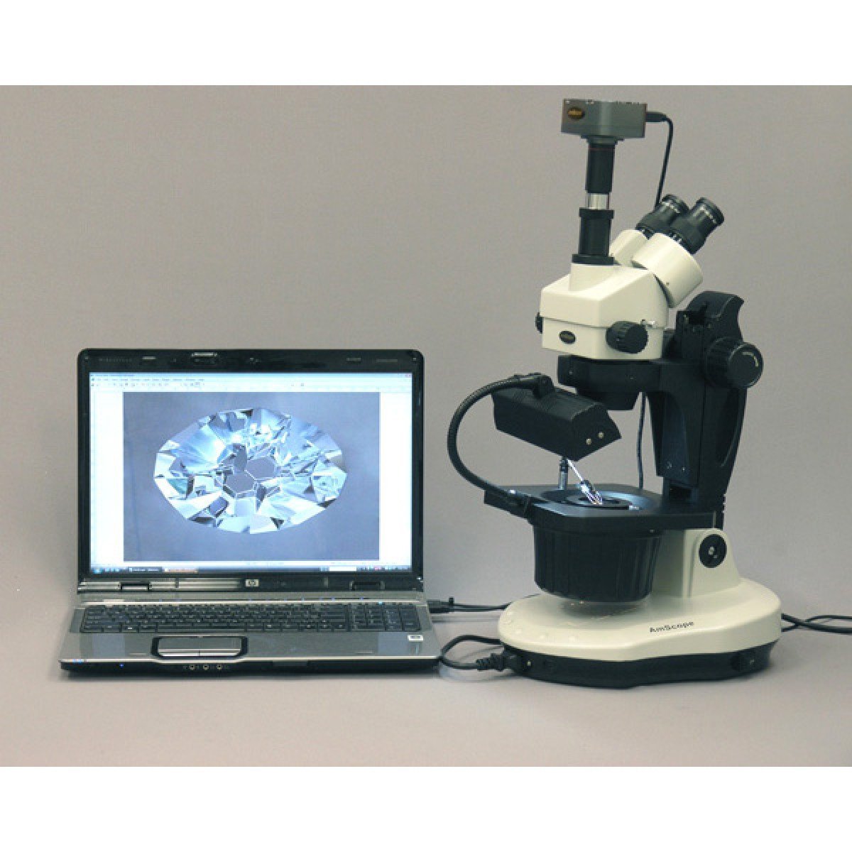 AmScope 7X-90X Advanced Jewel Gem Stereo Zoom Microscope – Microscope ...