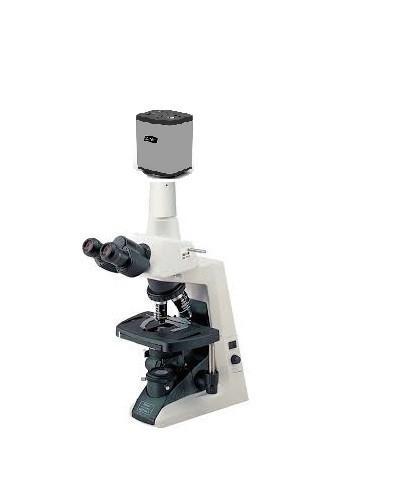 Nikon Digital Microscope | Nikon E200 Trinocular | Microscope Central