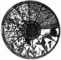 Twine Grain Counting Reticle KR-808A – Microscope Central