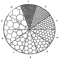 Carbide Grain Counting Reticle KR-808C – Microscope Central