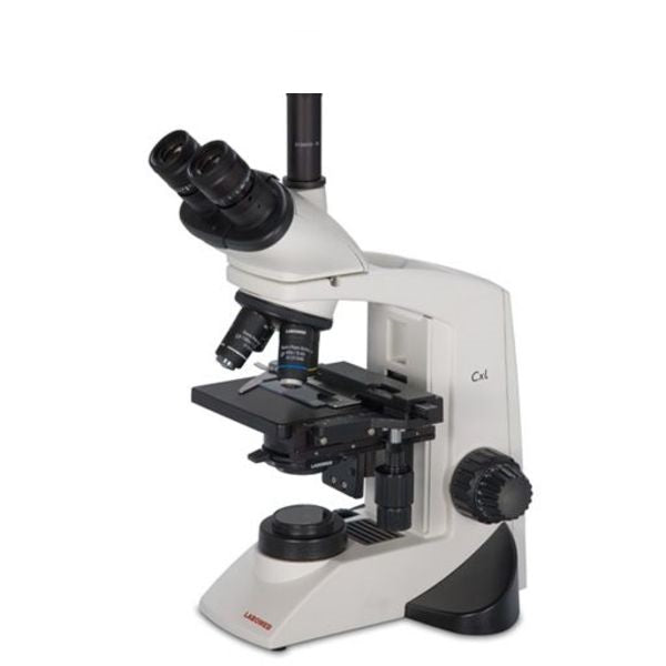 Labomed CxL Microscope | Labomed CXL | Microscope Central