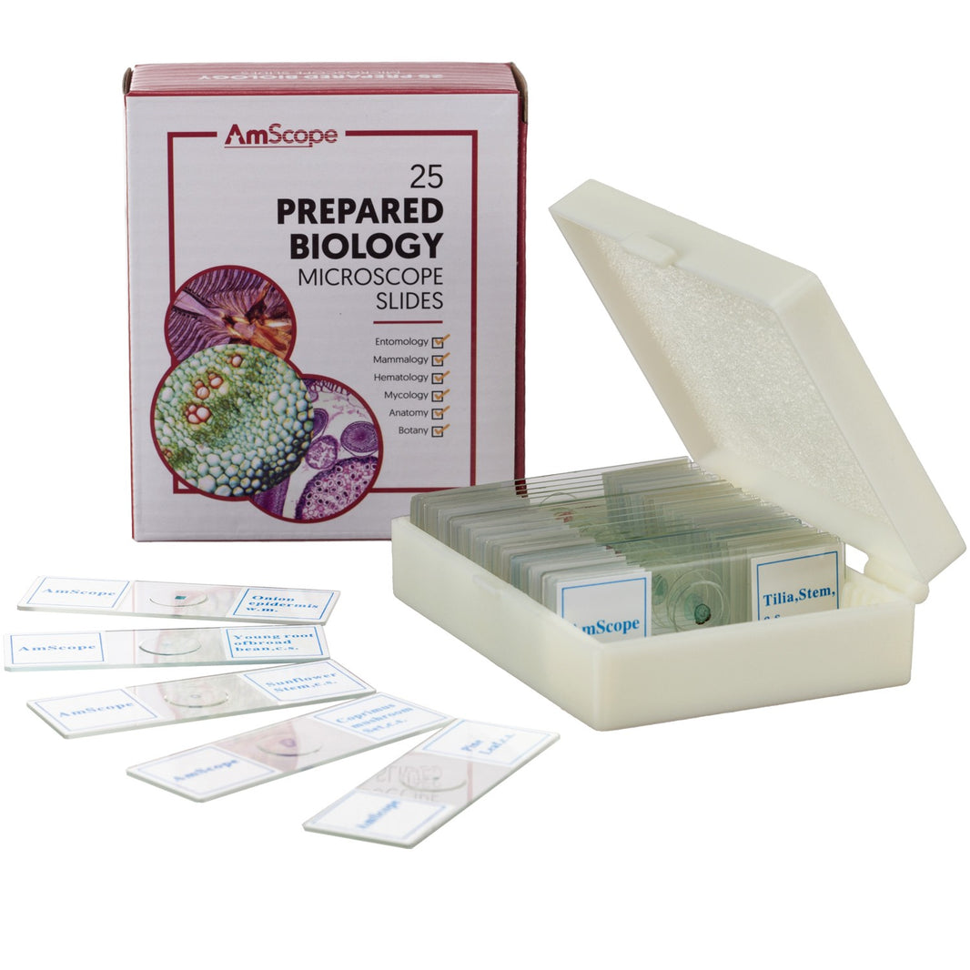 Microscope Slides for Sale | Microscope Immersion Oil – Microscope Central