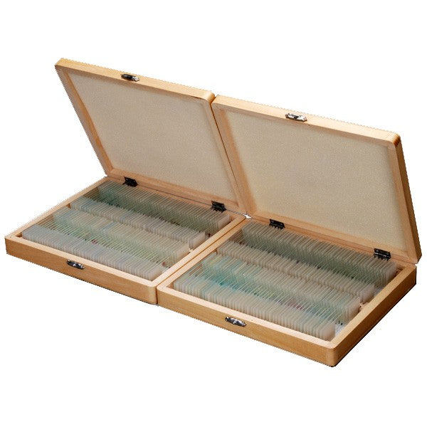 200 PC Prepared Microscope Glass Slide Set – Microscope Central