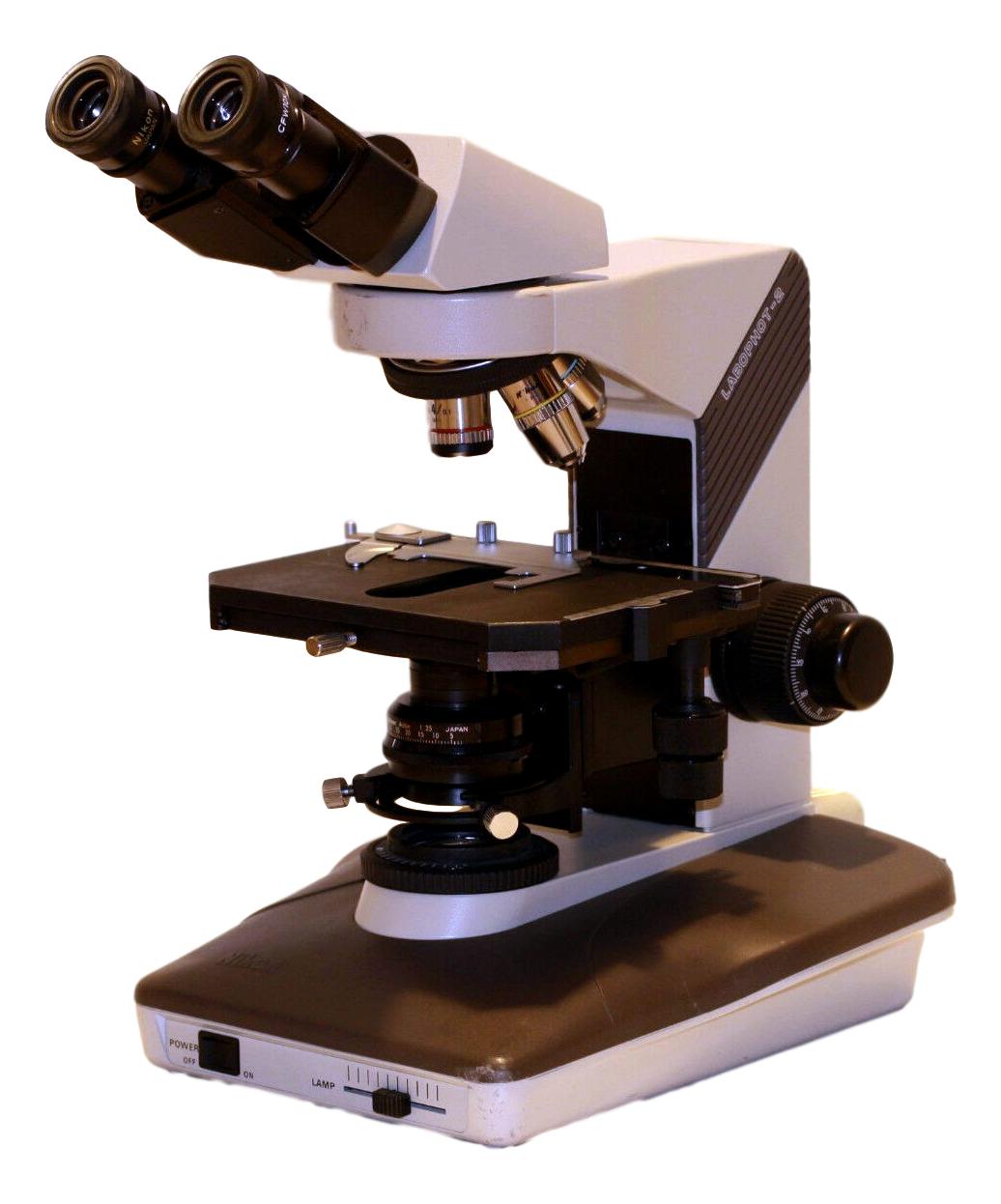 Nikon Labophot-2 Microscope | Binocular or Trinocular – Microscope Central