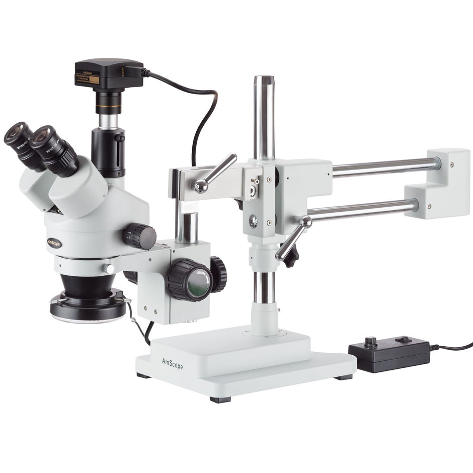 Dissecting Microscopes | Microscope Central
